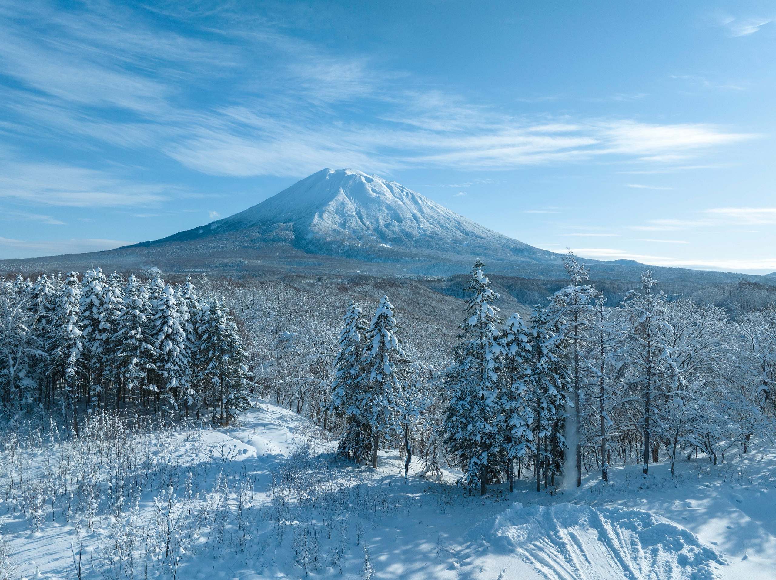 About | Ginto Hirafu